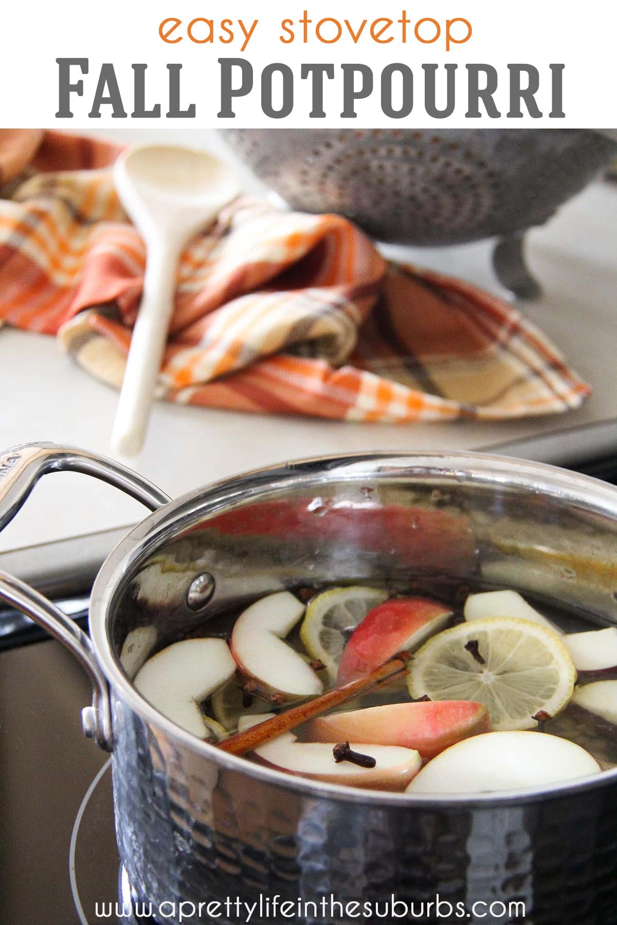 Fall Stovetop Potpourri: 10 Fall Simmer Pot Recipes - A Pretty Life In ...