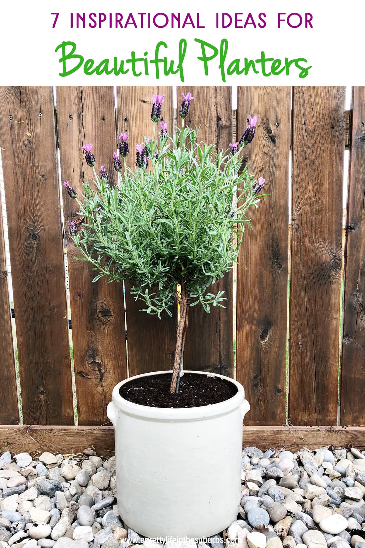 7 Inspirational Ideas for Beautiful Planters! - A Pretty Life In The ...