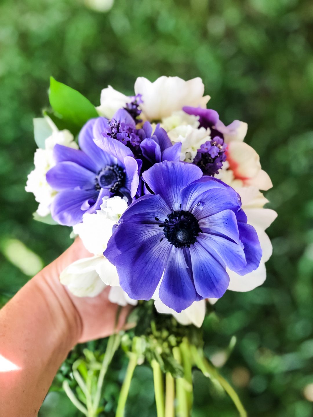Flowers From My Garden: All the Anemones! - A Pretty Life In The Suburbs
