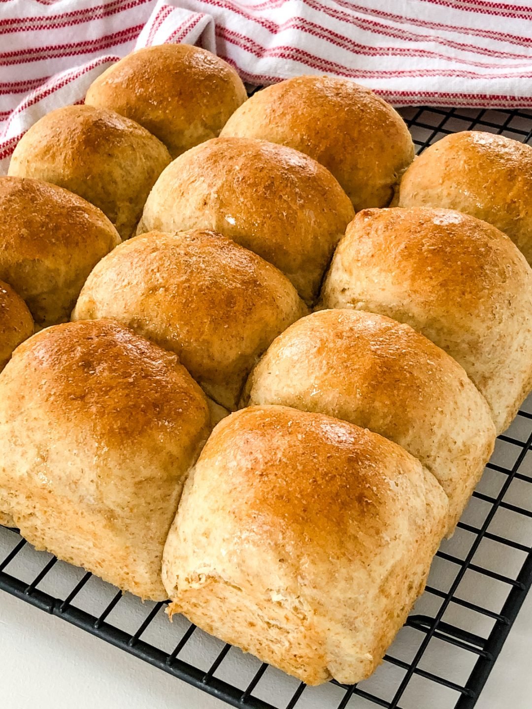 Homemade Whole Wheat Buns - A Pretty Life In The Suburbs