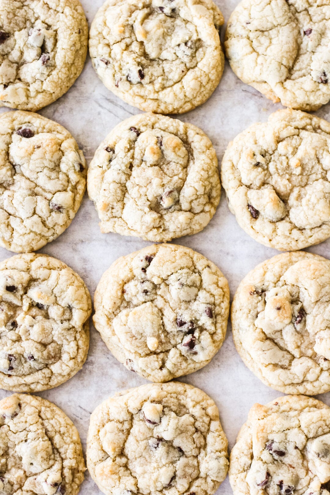 Soft and Chewy Chocolate Chip Cookies - A Pretty Life In The Suburbs