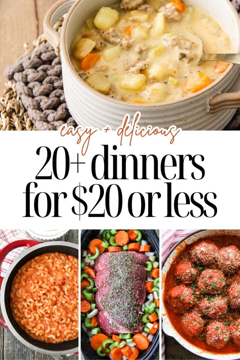 20 Meals to Make for Less Than $20 - A Pretty Life In The Suburbs