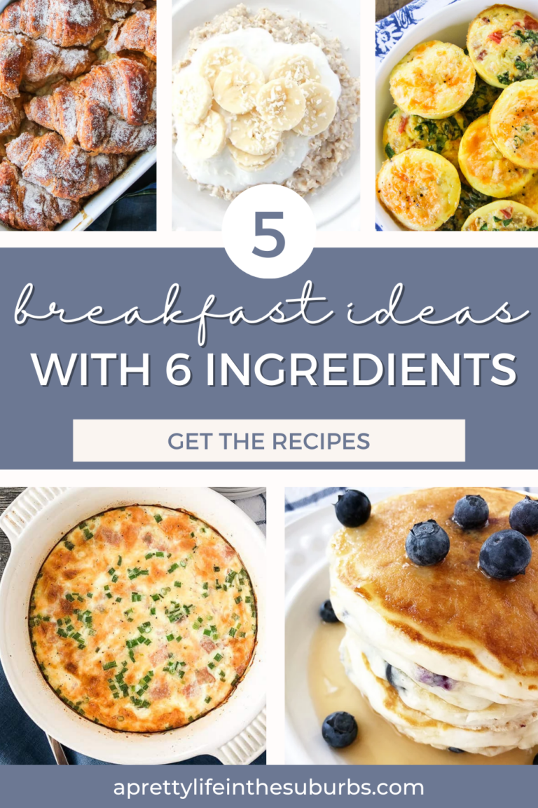 20+ Recipes with 6 Ingredients or Less - A Pretty Life In The Suburbs