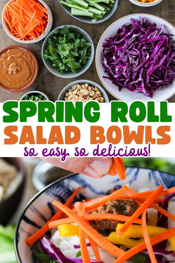 Spring Roll Salad Recipe - A Pretty Life In The Suburbs