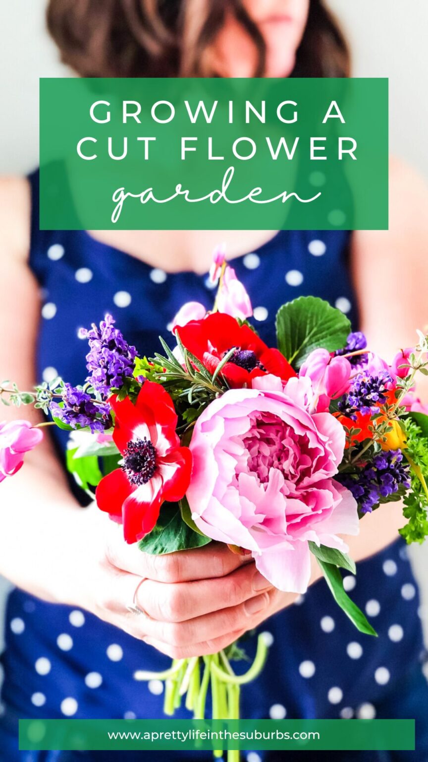 Tips for Growing a Cut Flower Garden - A Pretty Life In The Suburbs