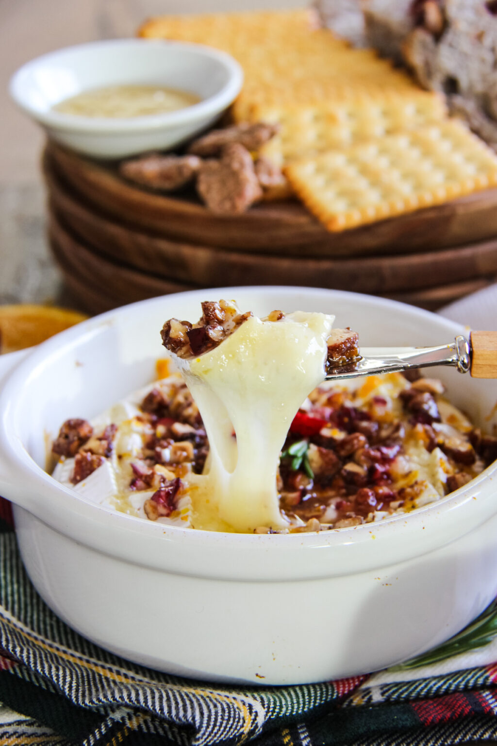 6 Delicious and Easy Brie Appetizer Ideas - A Pretty Life In The Suburbs