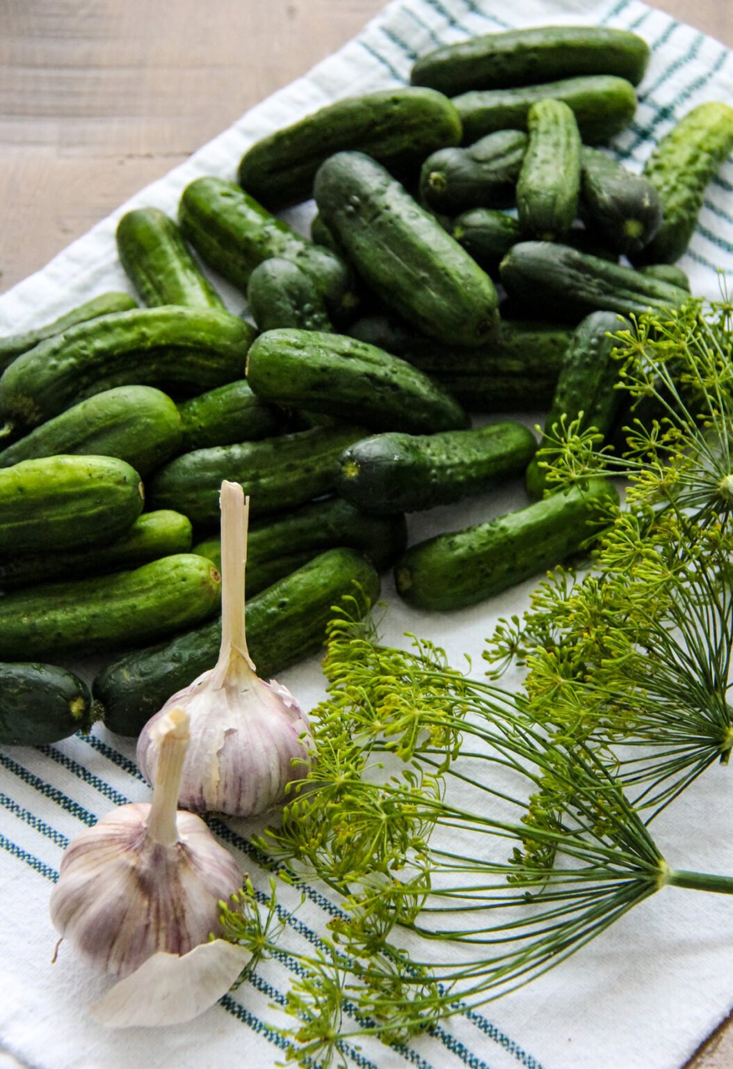 Easy Dill Pickles - A Pretty Life In The Suburbs